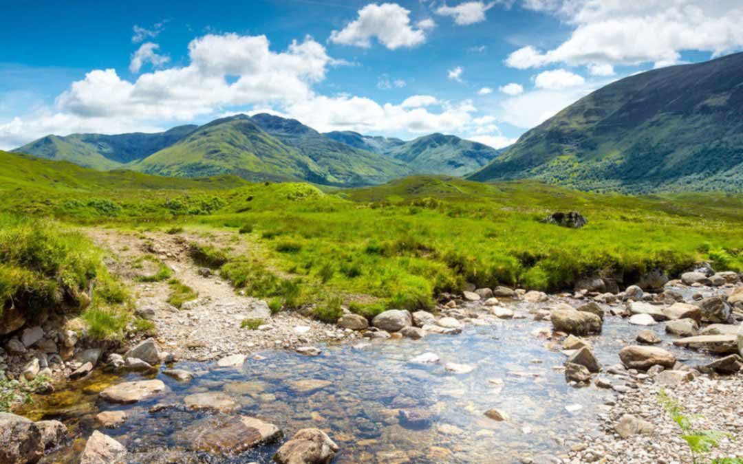 Kendala Rehabilitasi DAS IPPKH | PT Antares Multi Energi