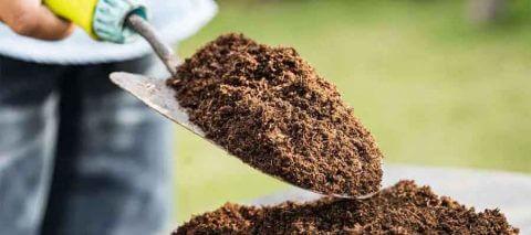 Apa Itu Top Soil? Lapisan Tanah yang Subur | PT Antares Multi Energi